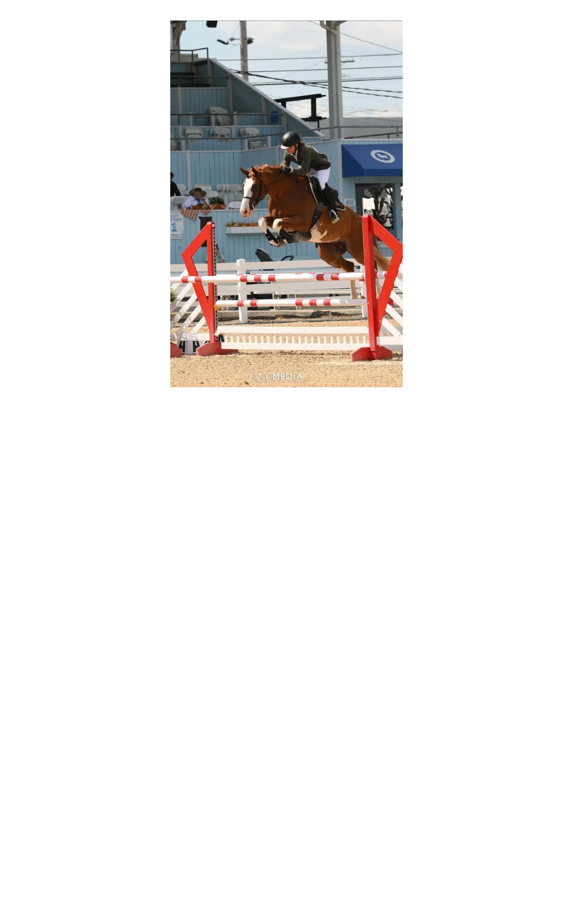 Elliena Apollo - Equestrian Apparel, Equestrian Bows, Equestrian ...