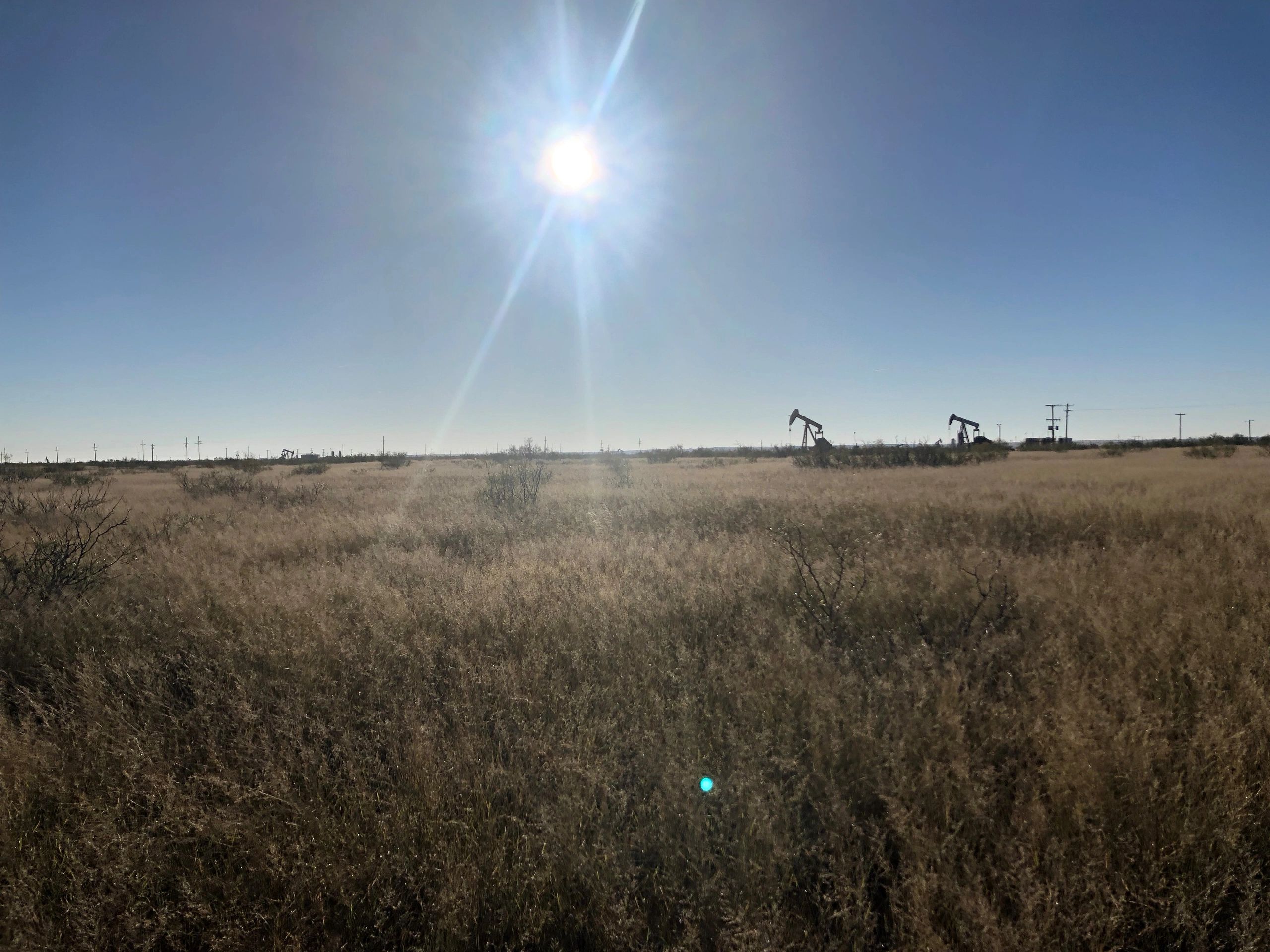 Lotus LLC | Lotus LLC