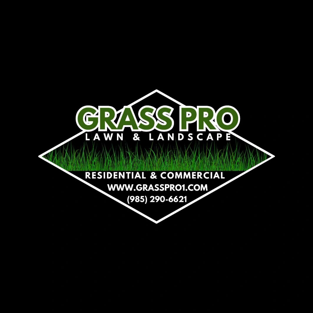 Professional Lawn Services in Your Area