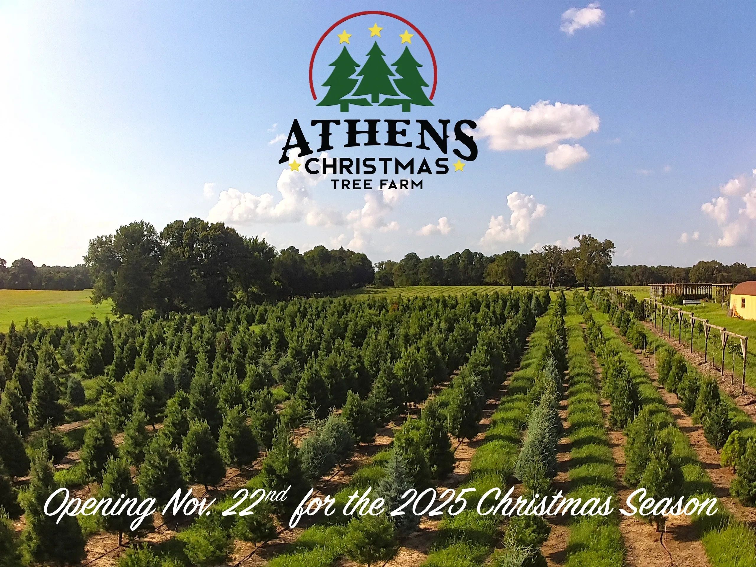 Athens Christmas Tree Farm