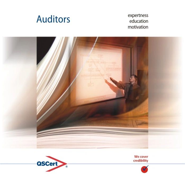 Auditing in Different Companies to Discover a New World Every Day ...