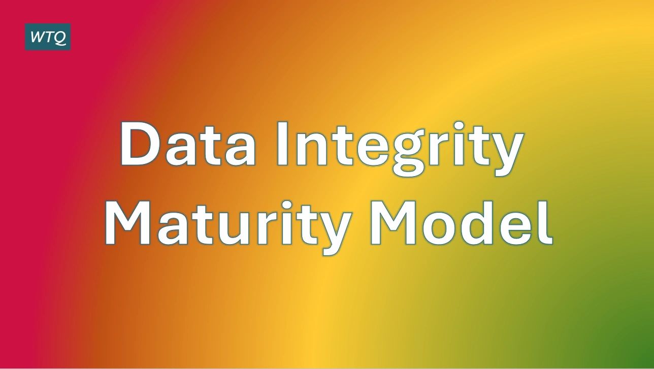 Advantages of the Data Integrity Maturity Model