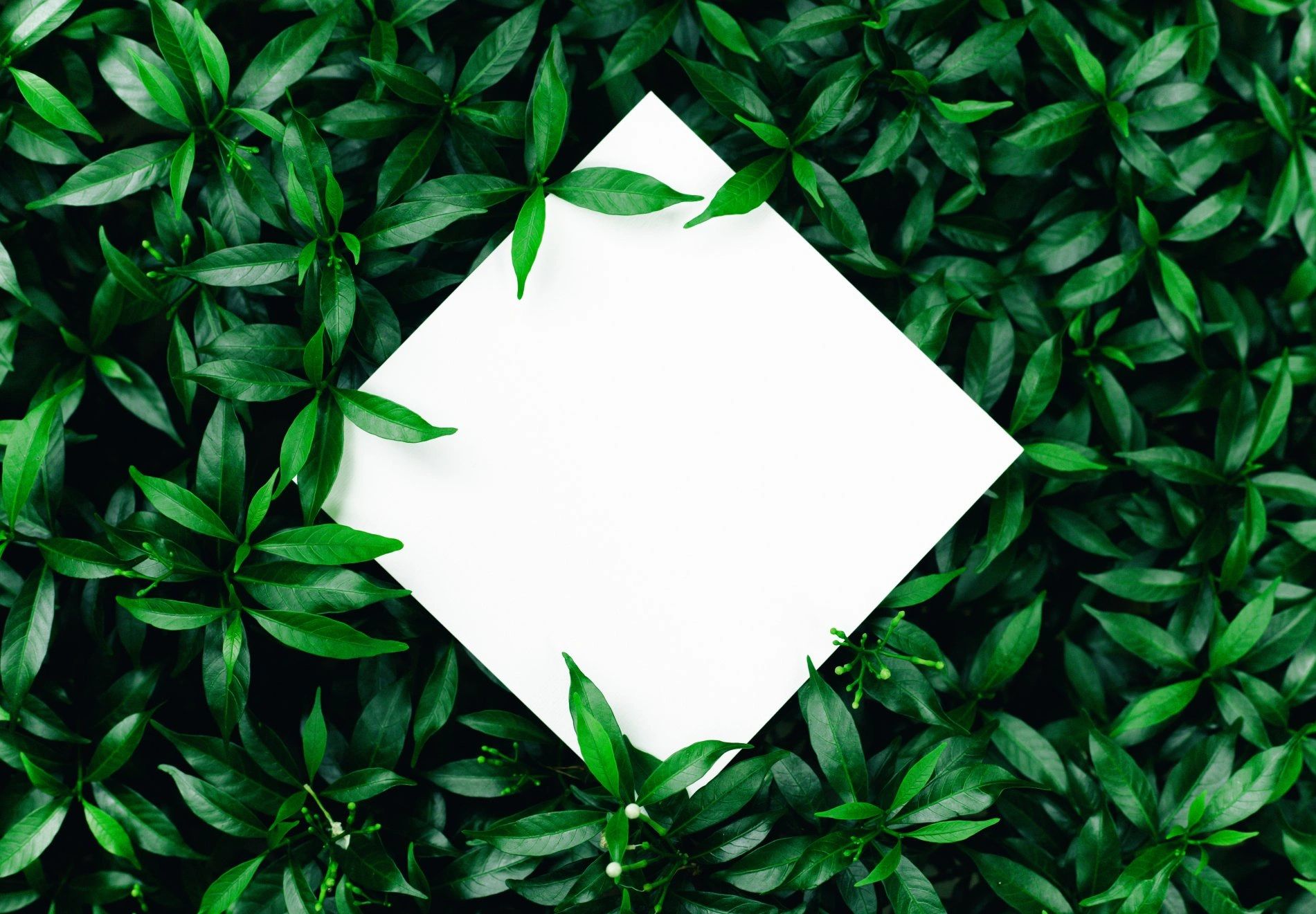 About Us – Sterling Paper Services Ltd – Food Packaging