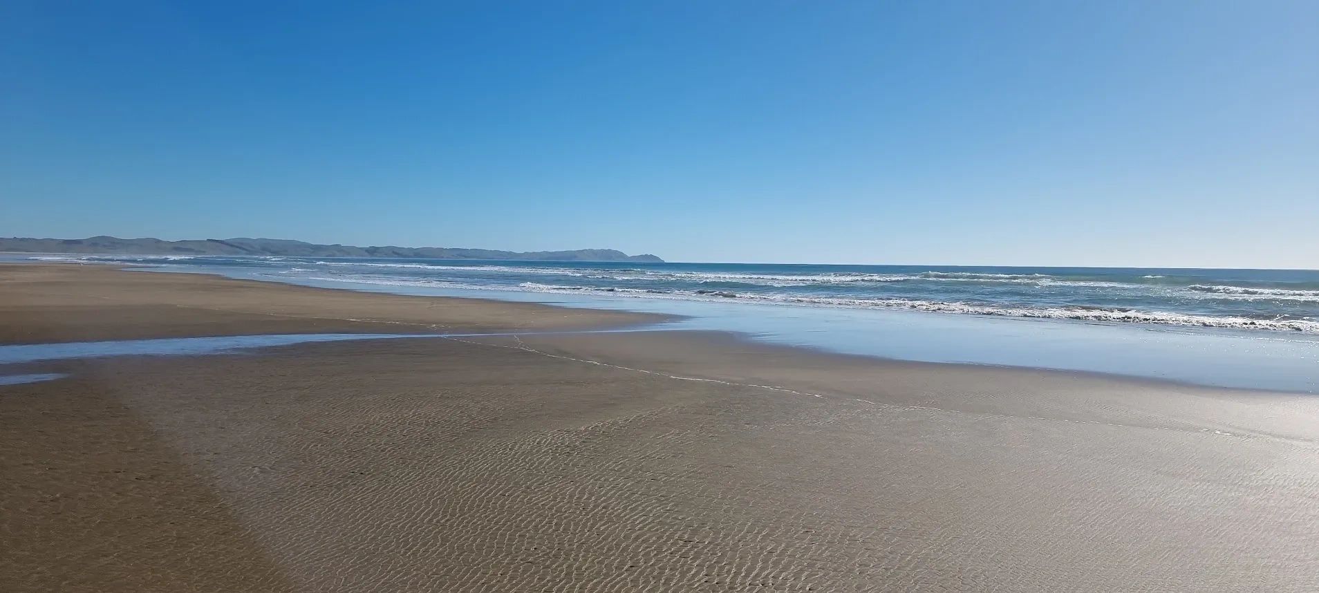 Putiki Wharanui