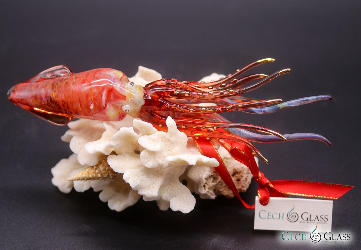 Squid - Fire Red on coral