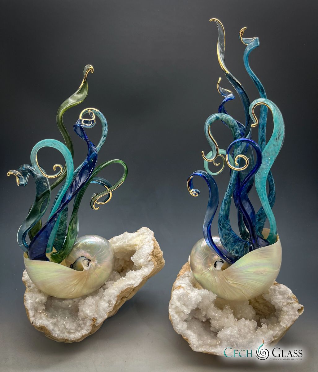 Pearl Nautilus on white Geode from Morocco