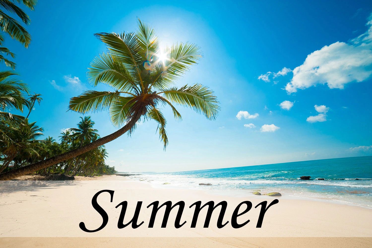 Cech Glass Recap - the 2024 HOT Summer edition!