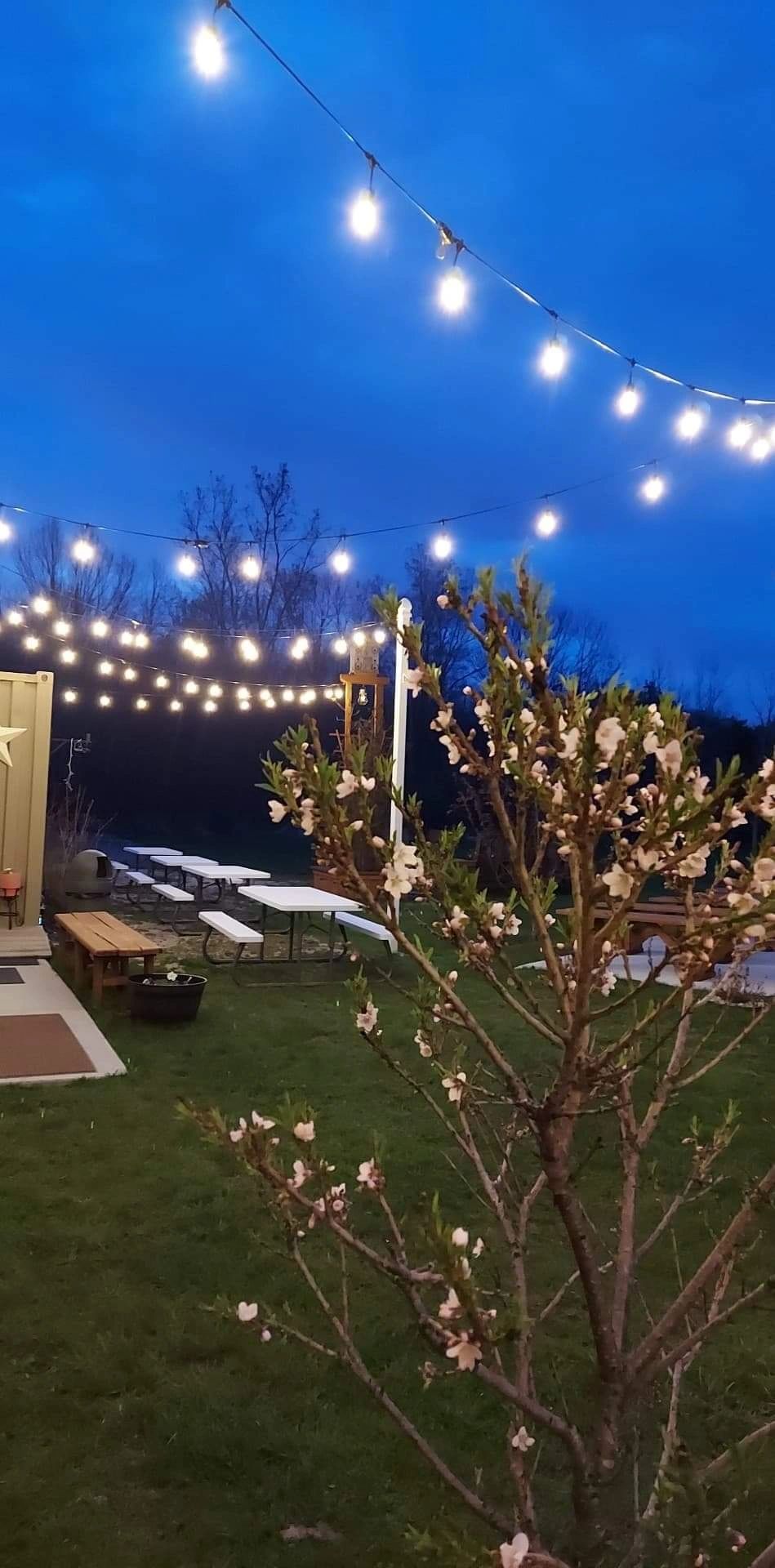 Round Em Up Ranch - Wedding Venue, Barn Wedding Venues, Ceremony and ...