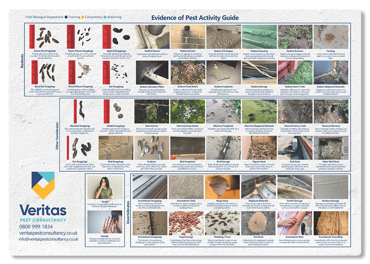 Evidence of Pest Activity Guide Poster