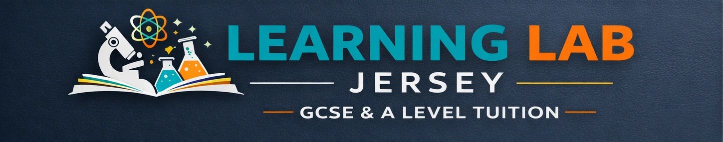 Learning Lab Jersey
