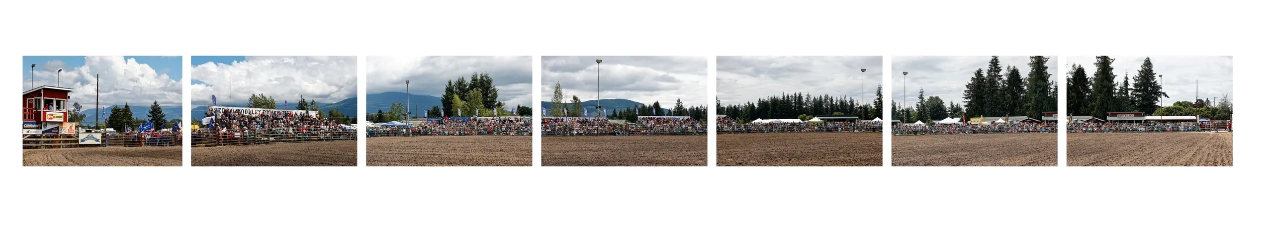 Logger Rodeo