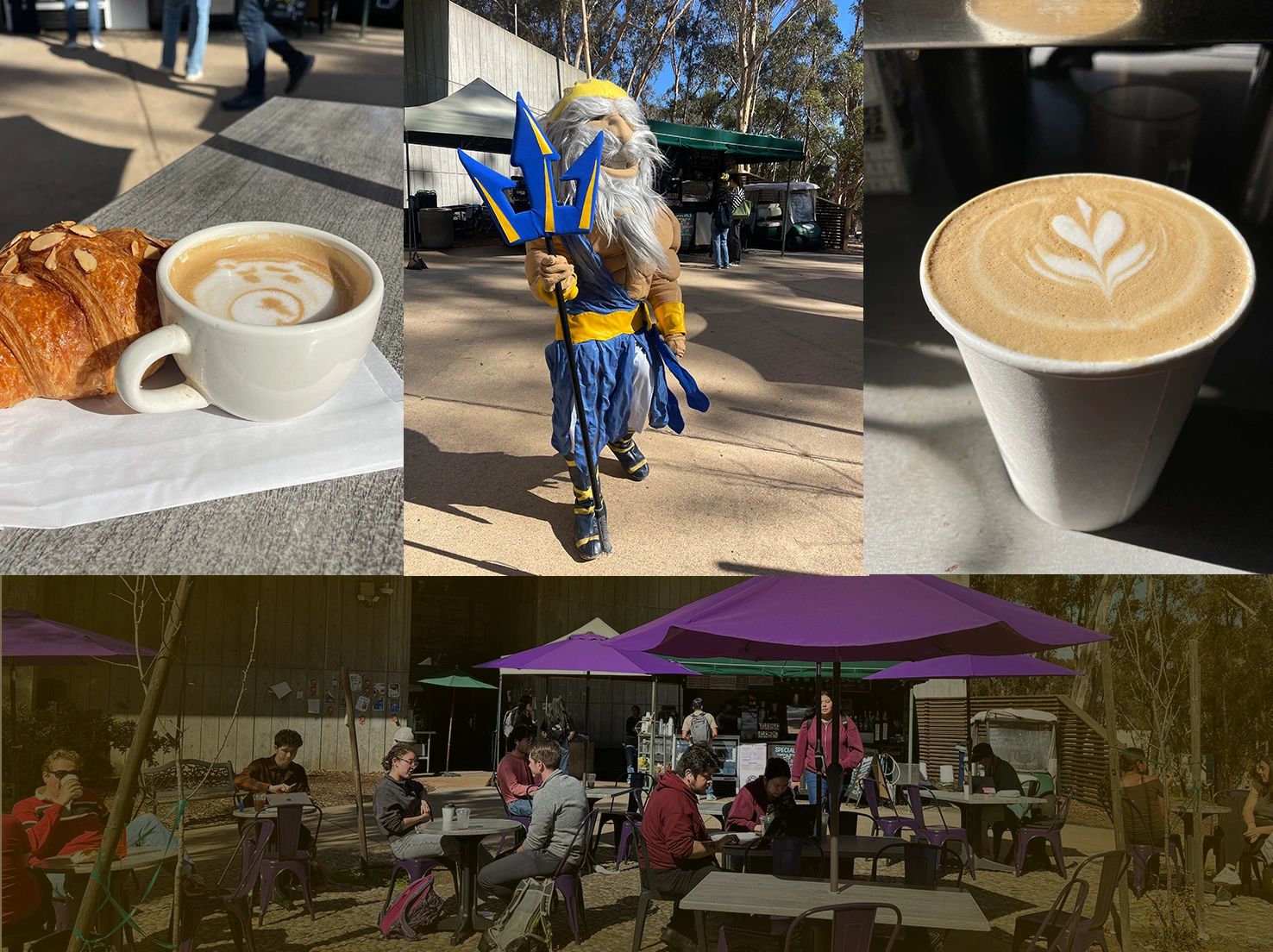 Art of Espresso: Best Coffee at UCSD