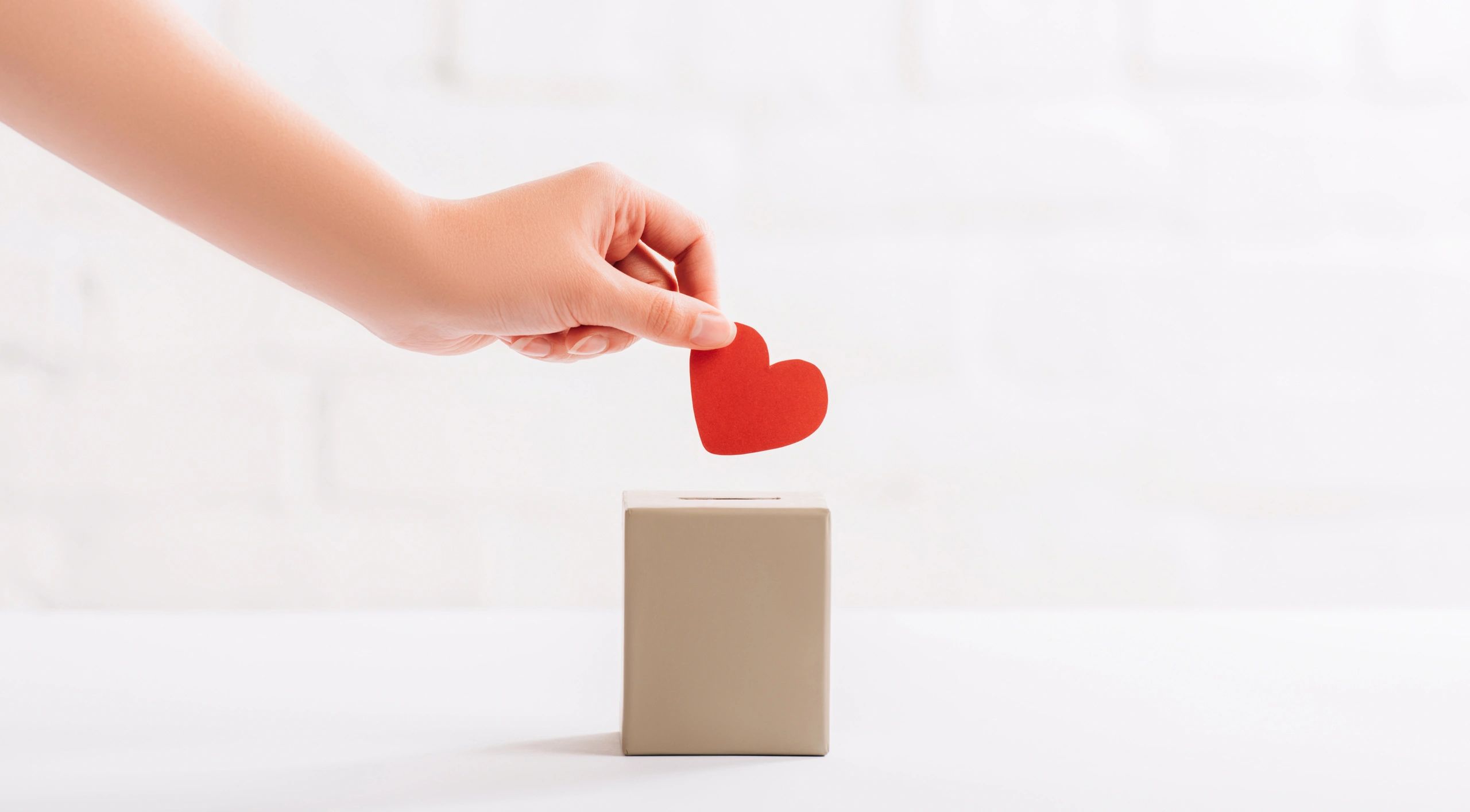 Fondation du CLSC des Mille-Îles / CHSLD Laval