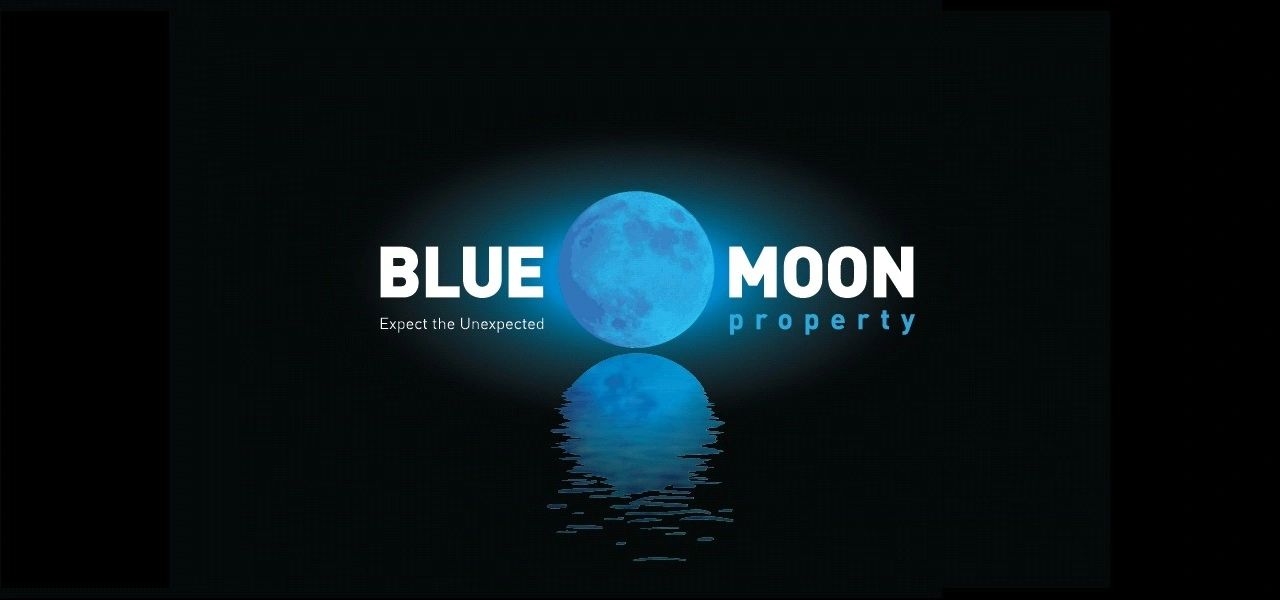 Current Rentals | Blue Moon Property North Lakes