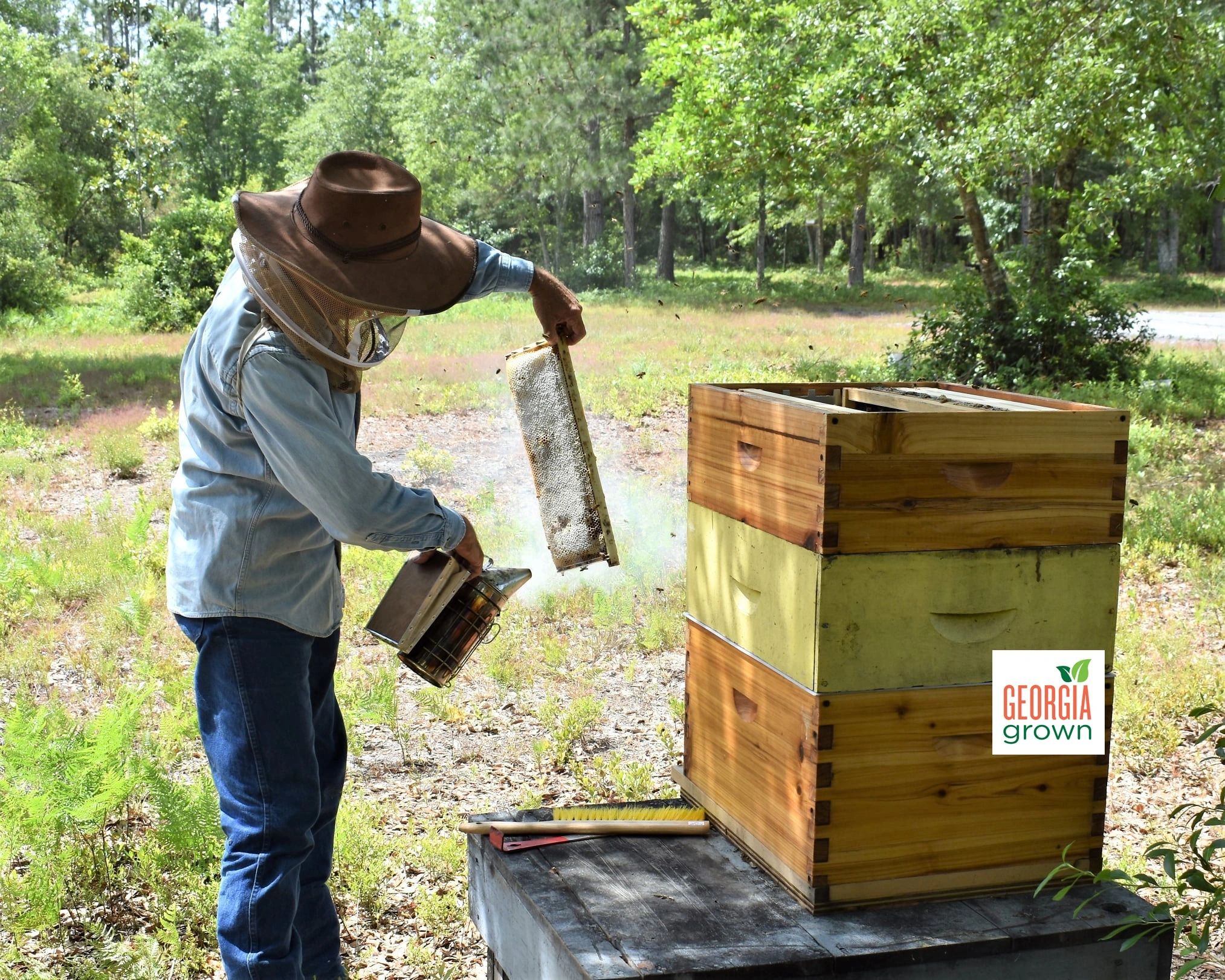Homestead Honey Farm: Quality Bee Management in Georgia