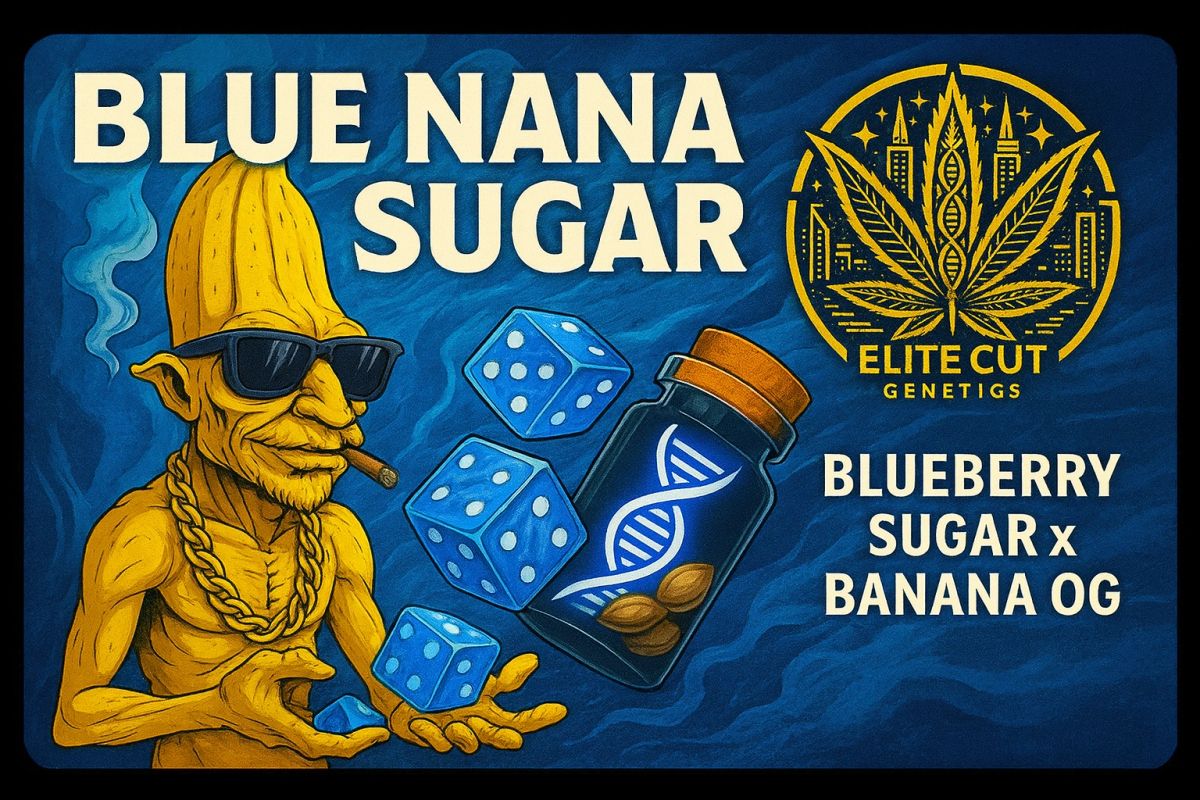 Blue Nana Sugar