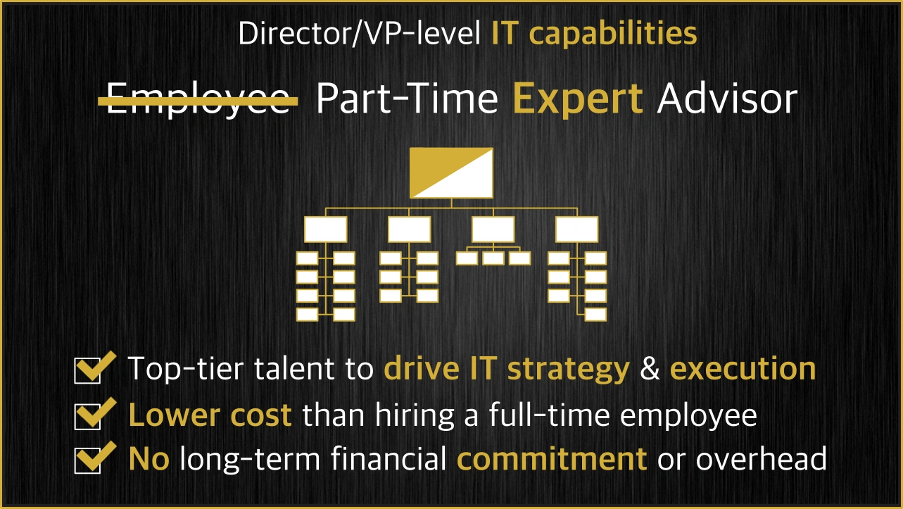 Fractional IT Executive Leadership - LPS Consulting
