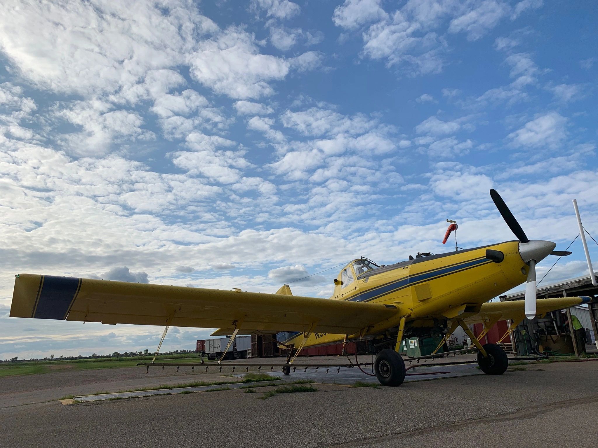 Reabe Spraying Service