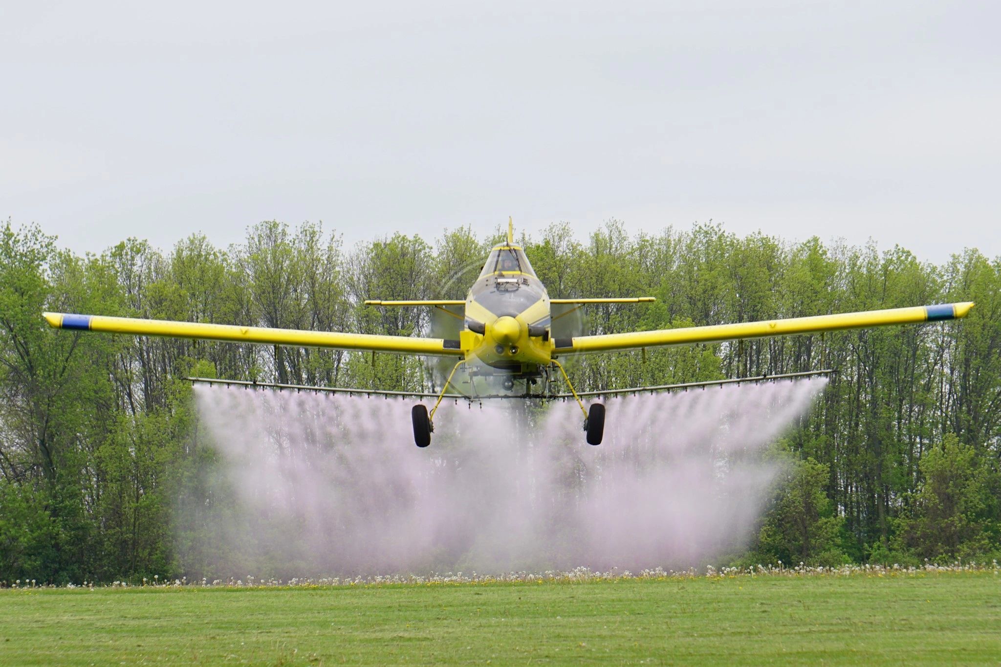 Reabe Spraying Service