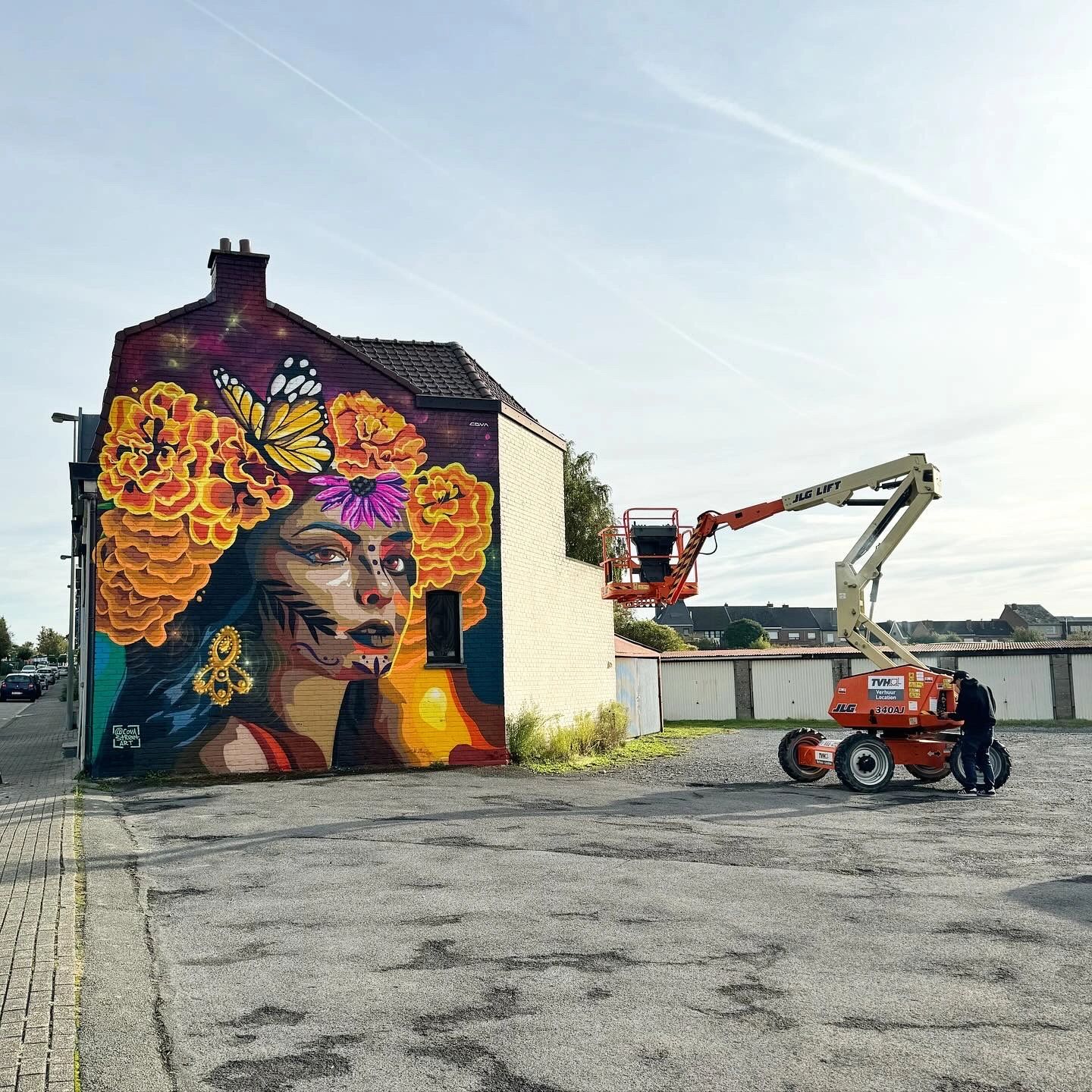 Professional Mural Artist Creating Stunning Murals