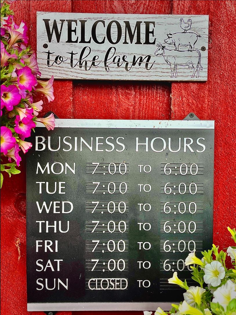 Little Creek Farm - Eggs, Christmas Trees, Beef