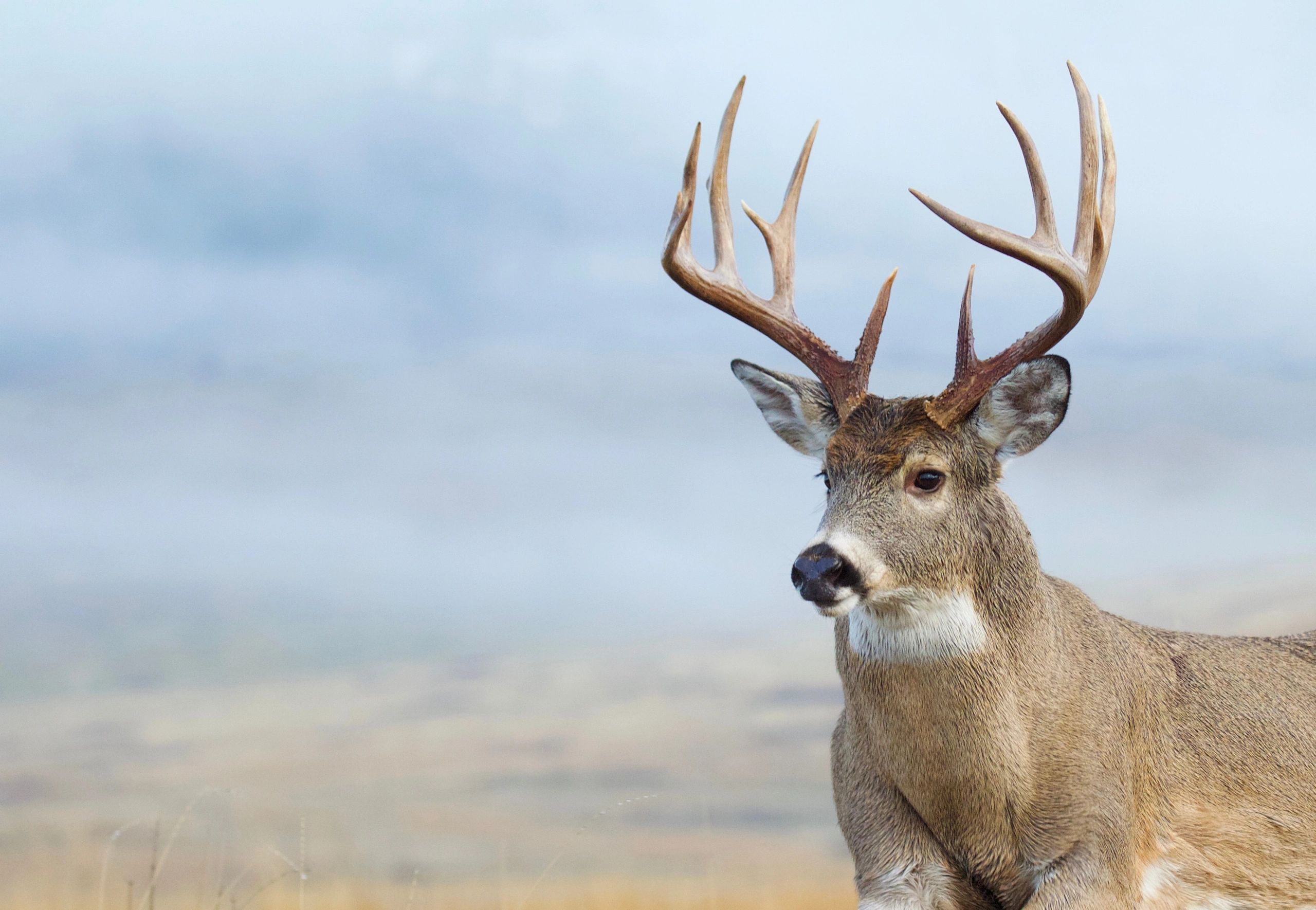 Hunting Heritage Protectors - Southern Hunting Alliance