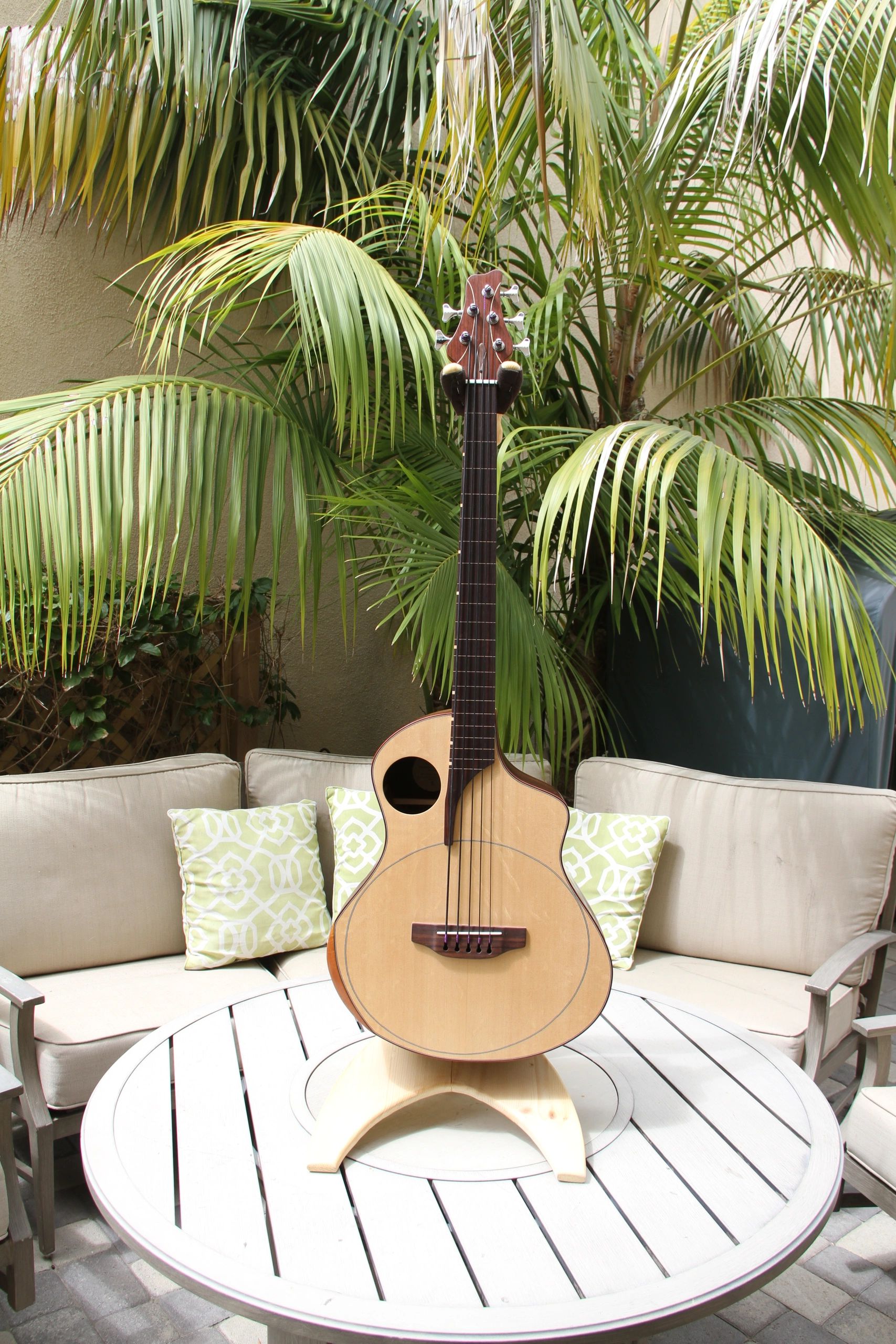 Linden Spiral 5 String Fretless Bass Delivered! July 2022