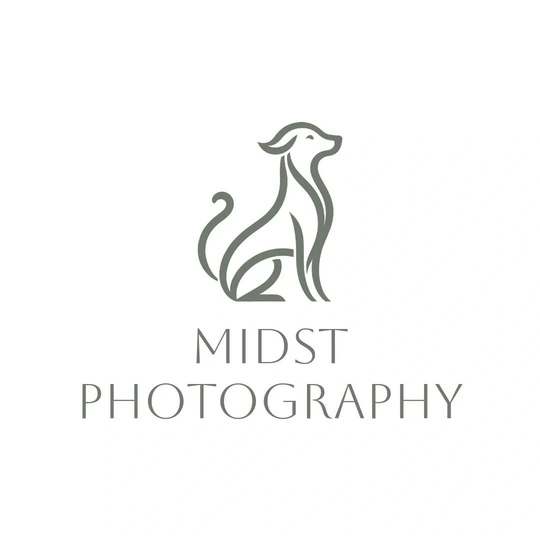 Portfolio | Midst Photography by Ellie Ellis