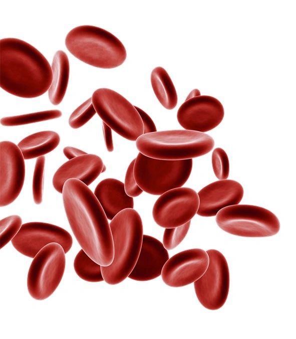 Hemerus Medical, LLC