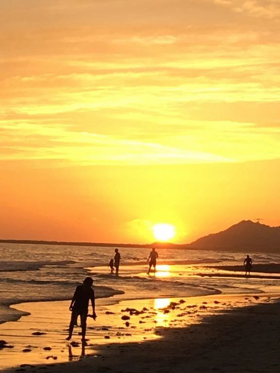 Cardinal Beach Rentals - Vacation Rentals, Condos
