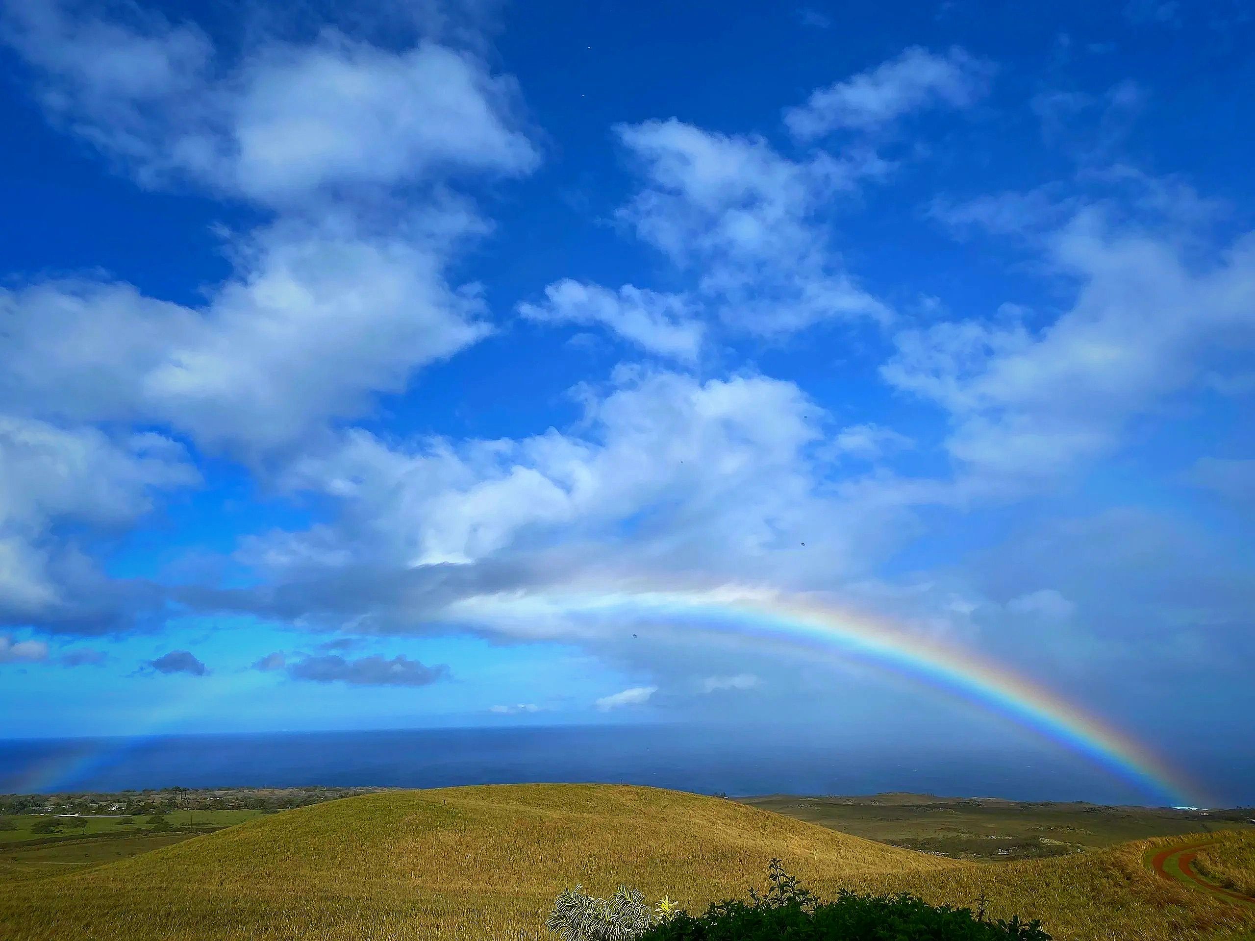 CBD.CENTER - Herbal Medicine