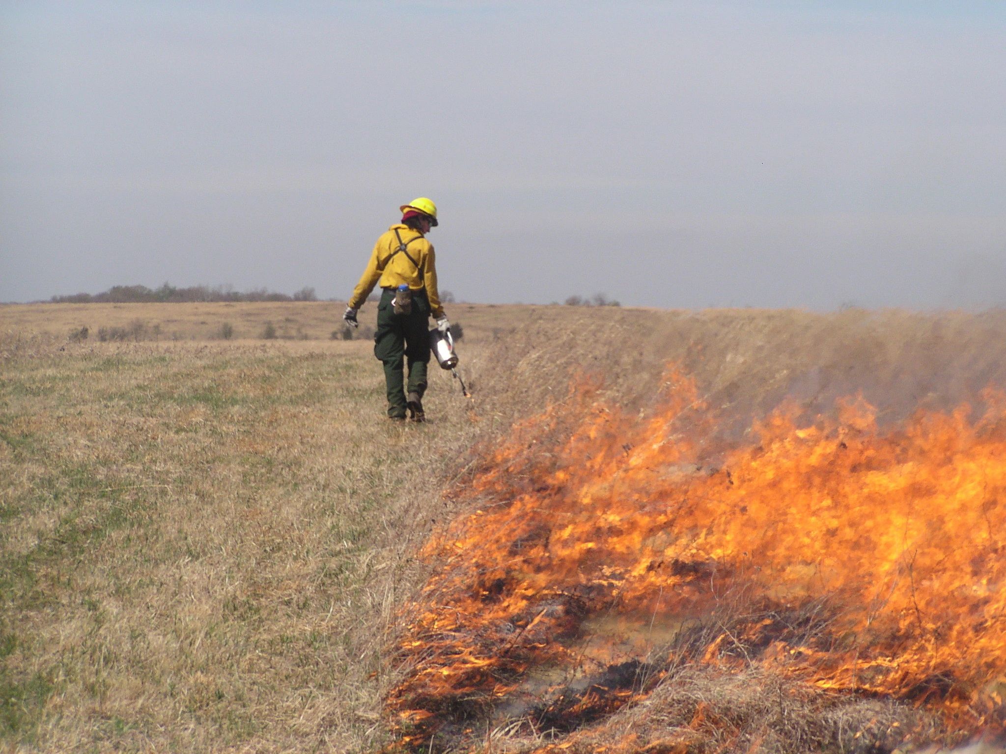 Enhance Ecosystems with Prescribed Fire