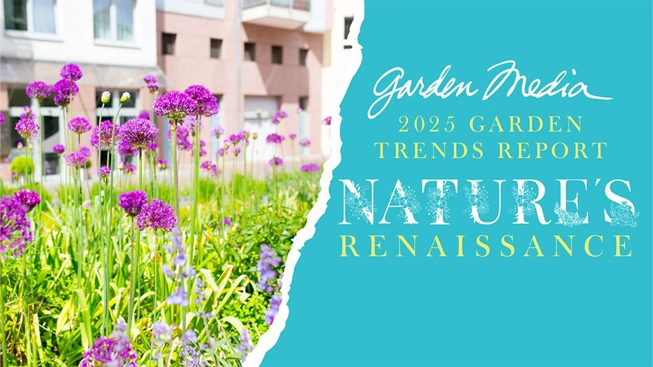 Top Hardscape Trends for 2024-2025 theme of Nature's Renaissance