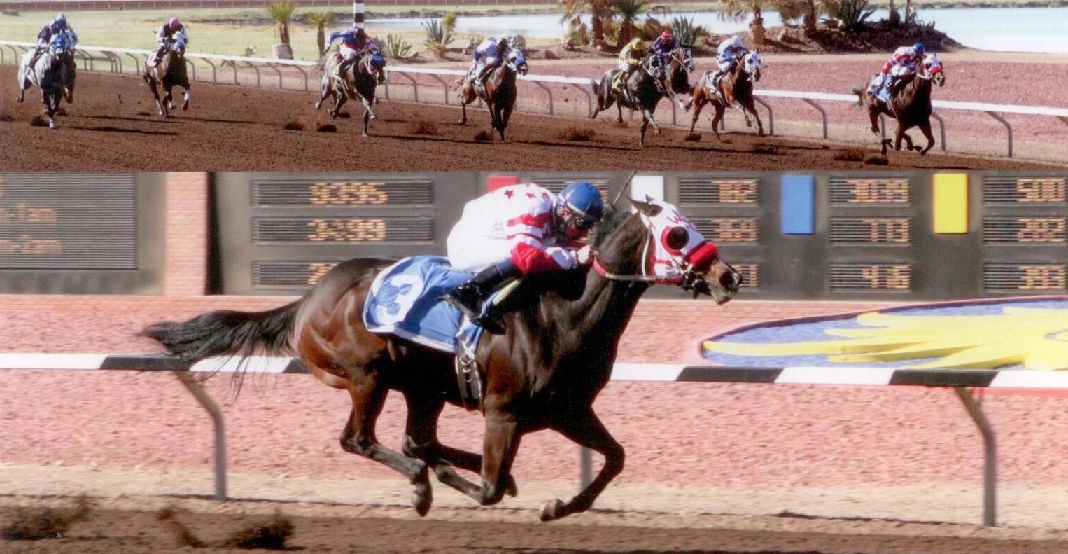 E C Quarter Horses - Running Quarter Horses, The Heritage Sale