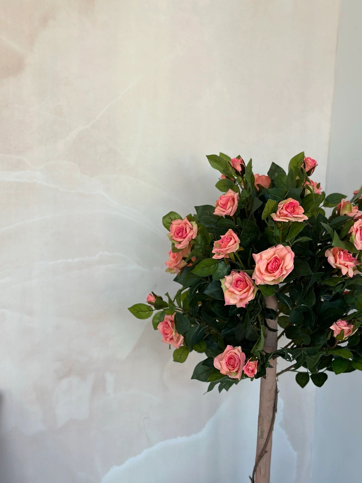 Beauty Services | The Rose Rooms Beauty