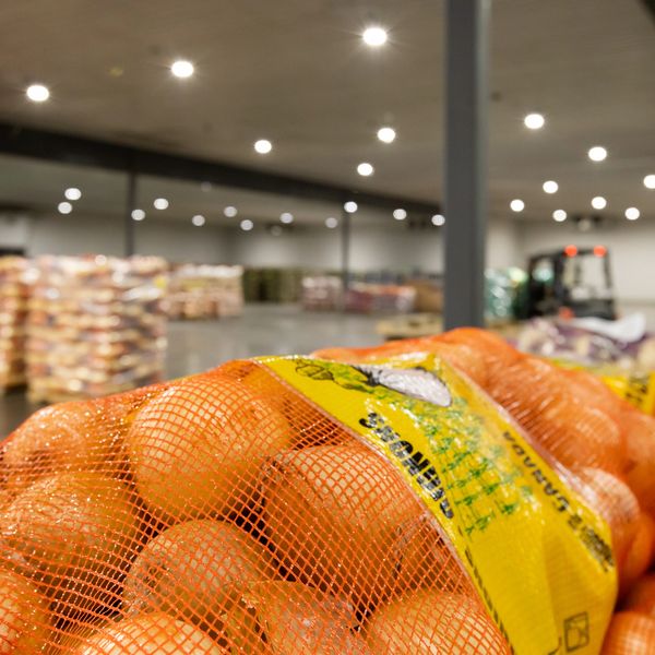 Fresh vegetables | Marc Riendeau produce