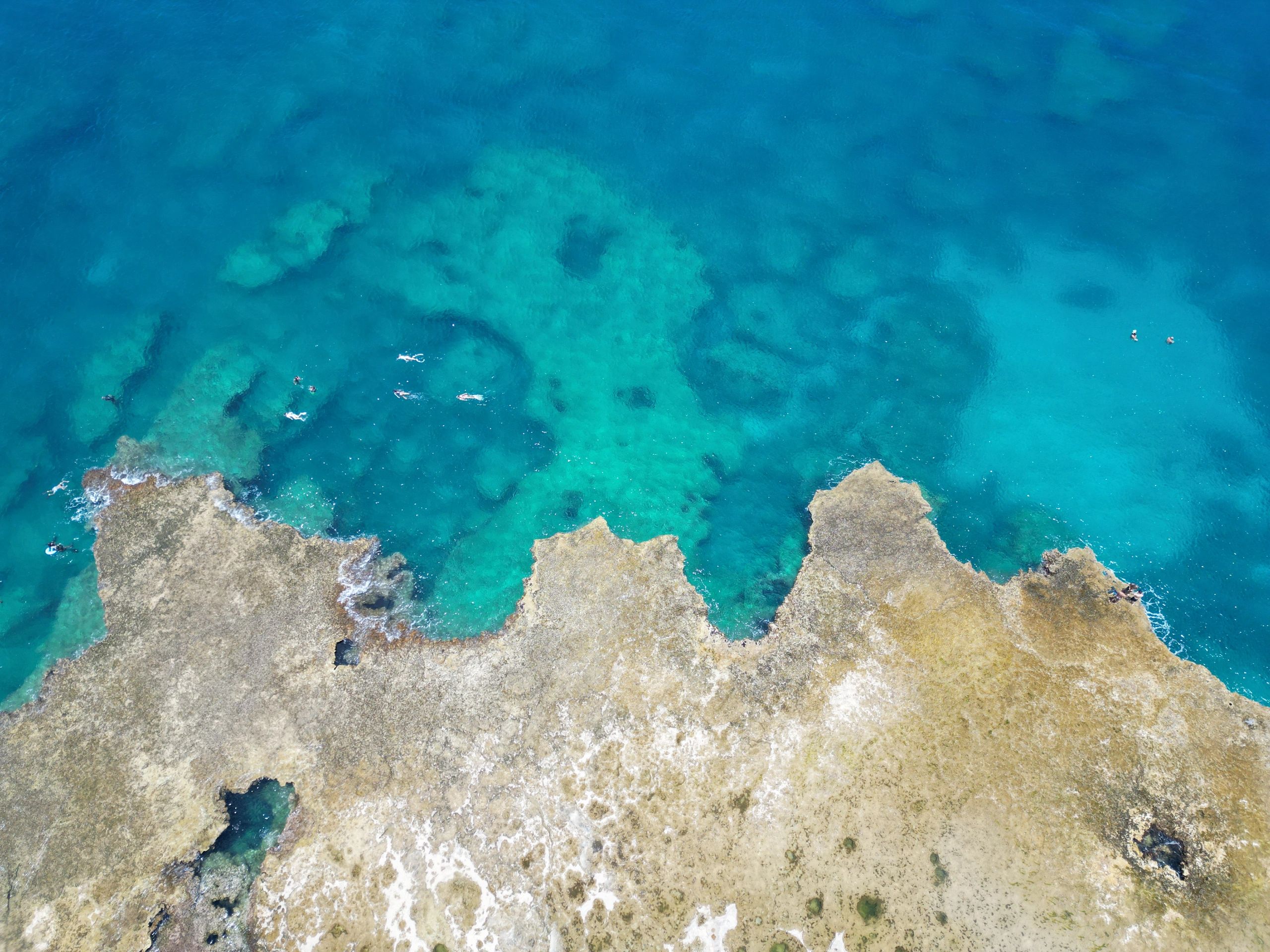 HOME [fluidmediaco.com]