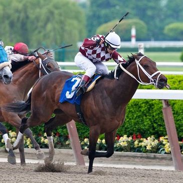 Meet Maylan Studart | Meet Maylan Studart