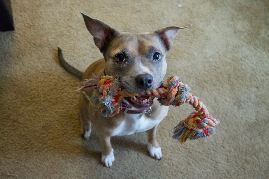 Sierra Morgan Photography