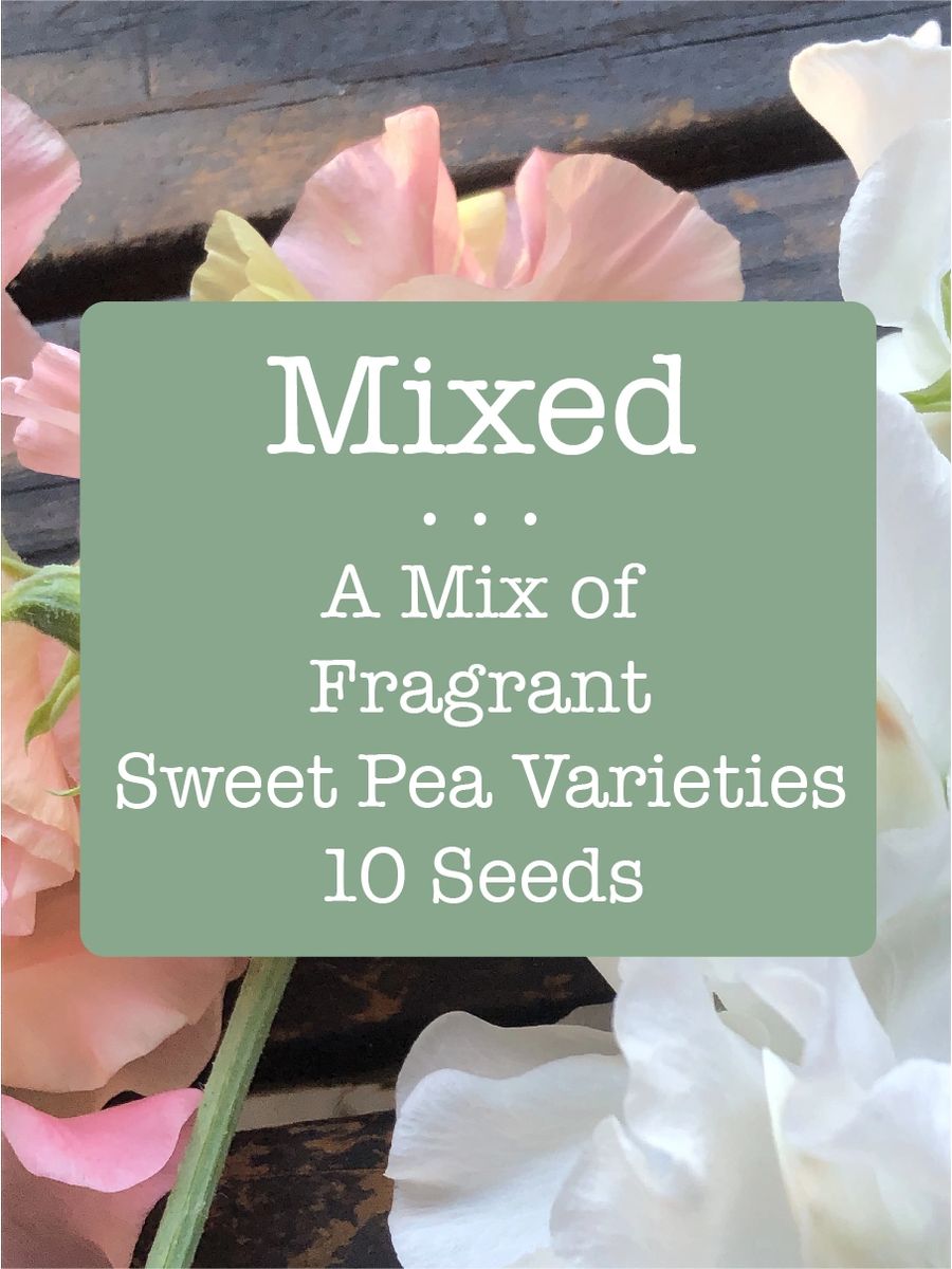 Mixed - Perfume-A-Room Bouquet* (10 Seeds)