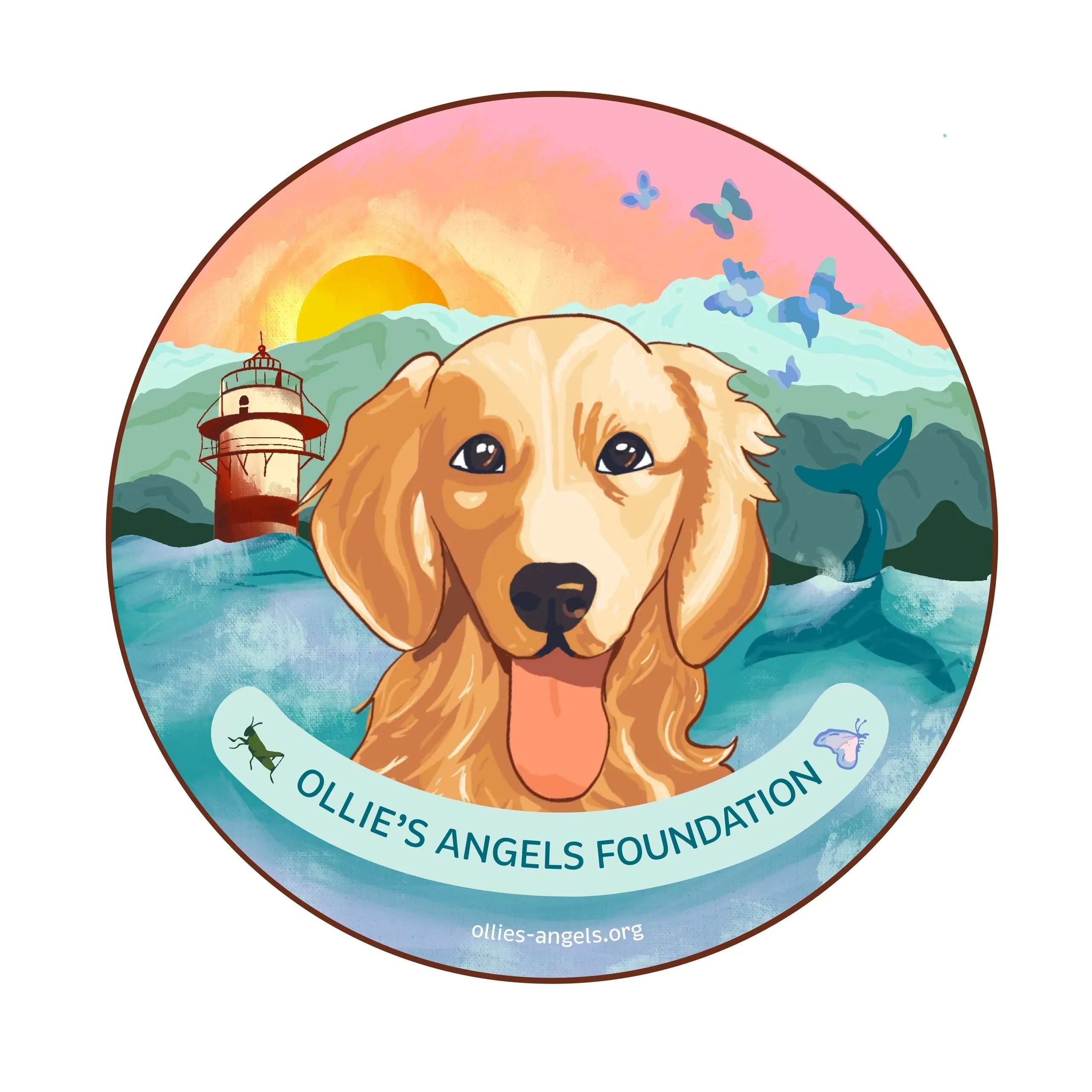 Donate| Ollie's Angels Foundation |Help Us Save Lives