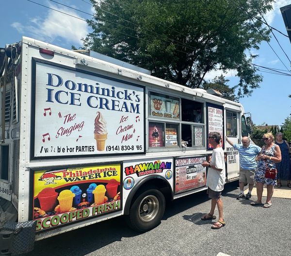 Gallery | North Regent Animal Clinic