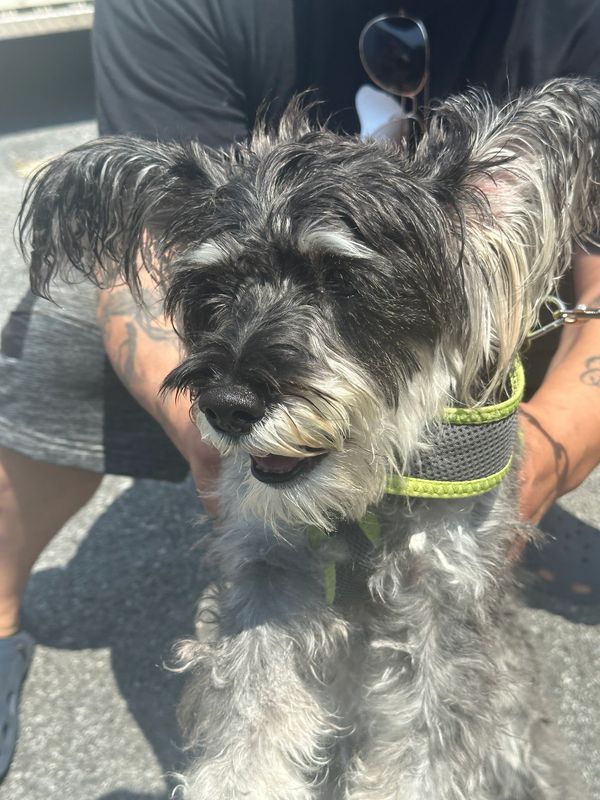 Gallery | North Regent Animal Clinic