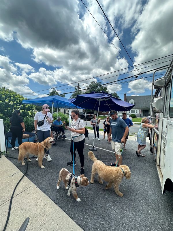 Gallery | North Regent Animal Clinic