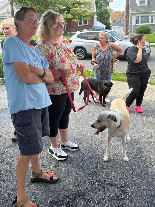 Gallery | North Regent Animal Clinic