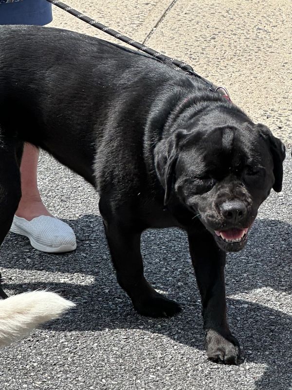 Gallery | North Regent Animal Clinic