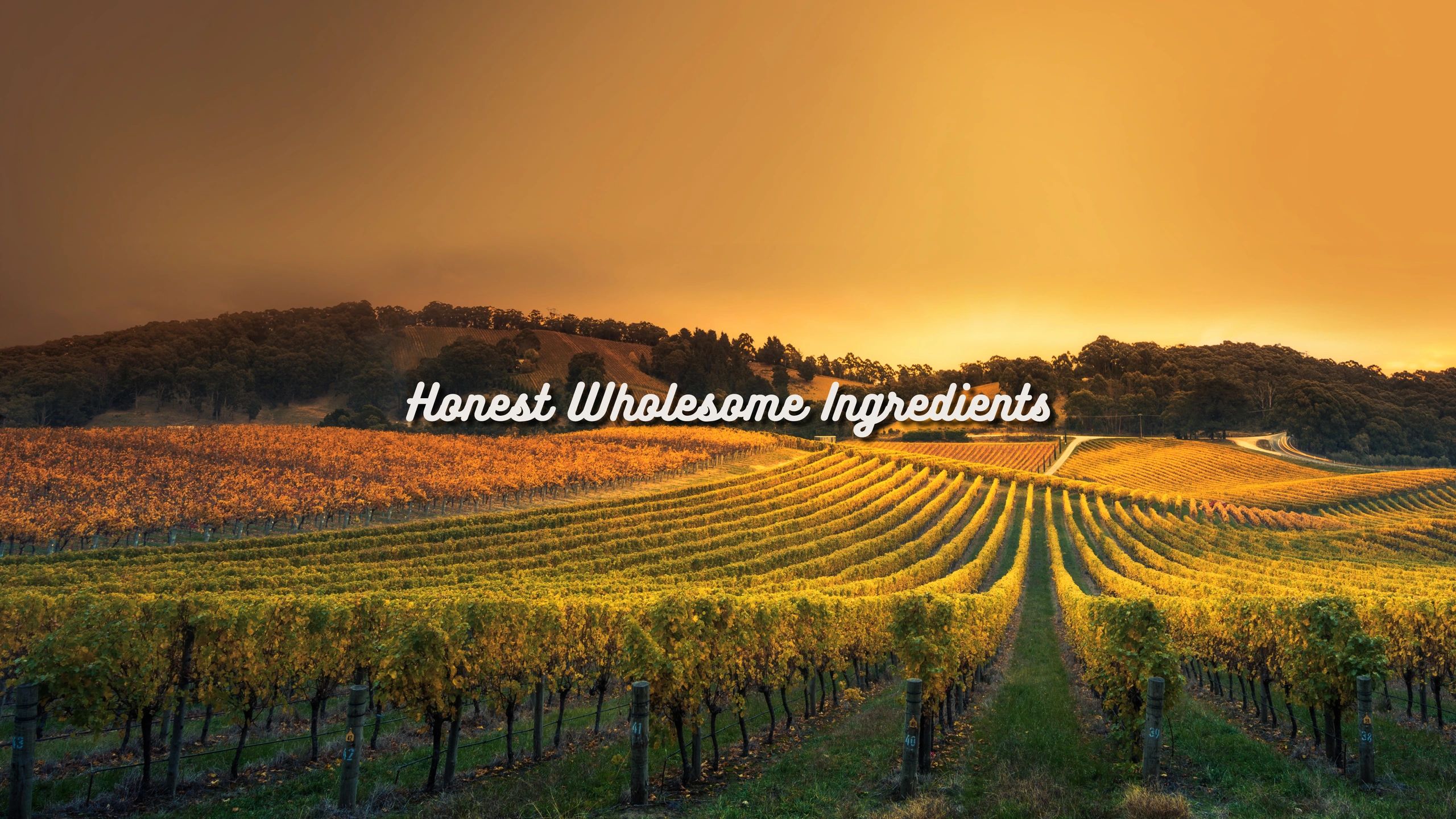 100 Years of Grapefulness