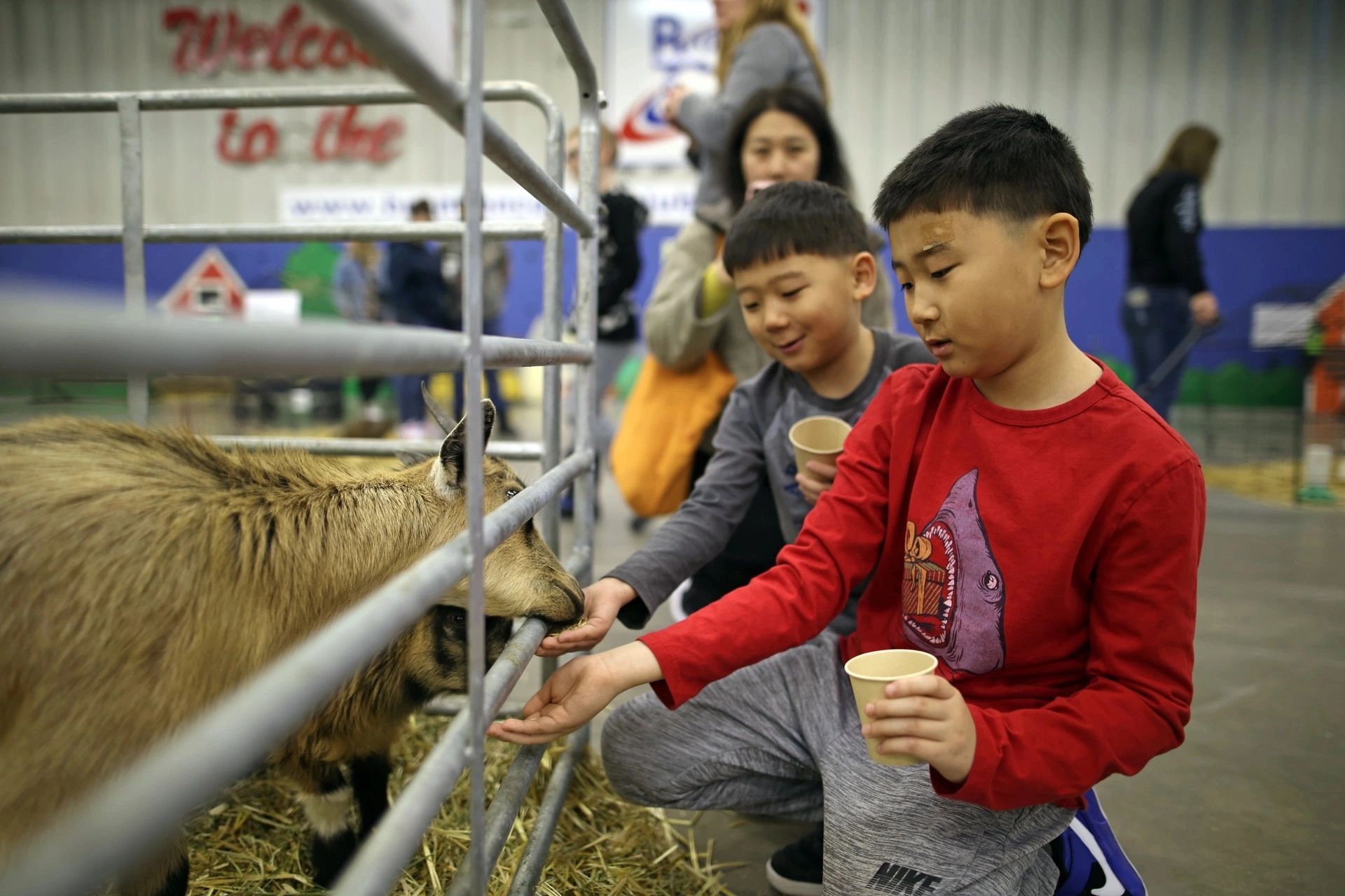 Saddle Ridge Farm