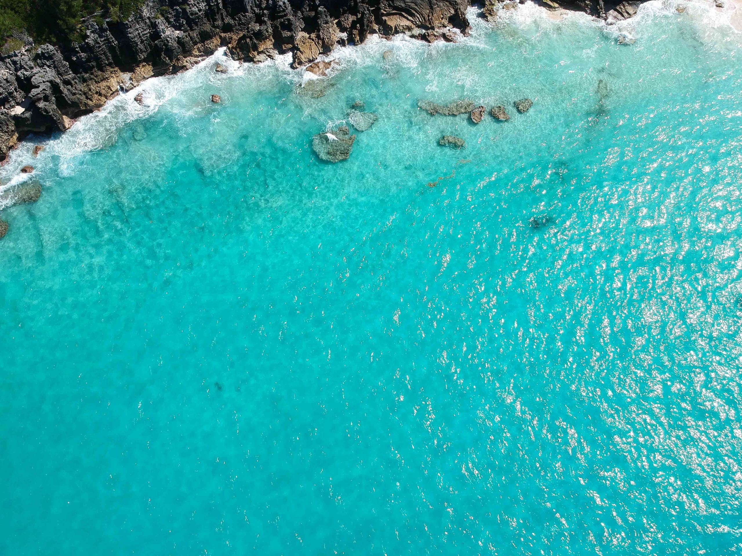 Vacation Rental - Oceanfront Bermuda