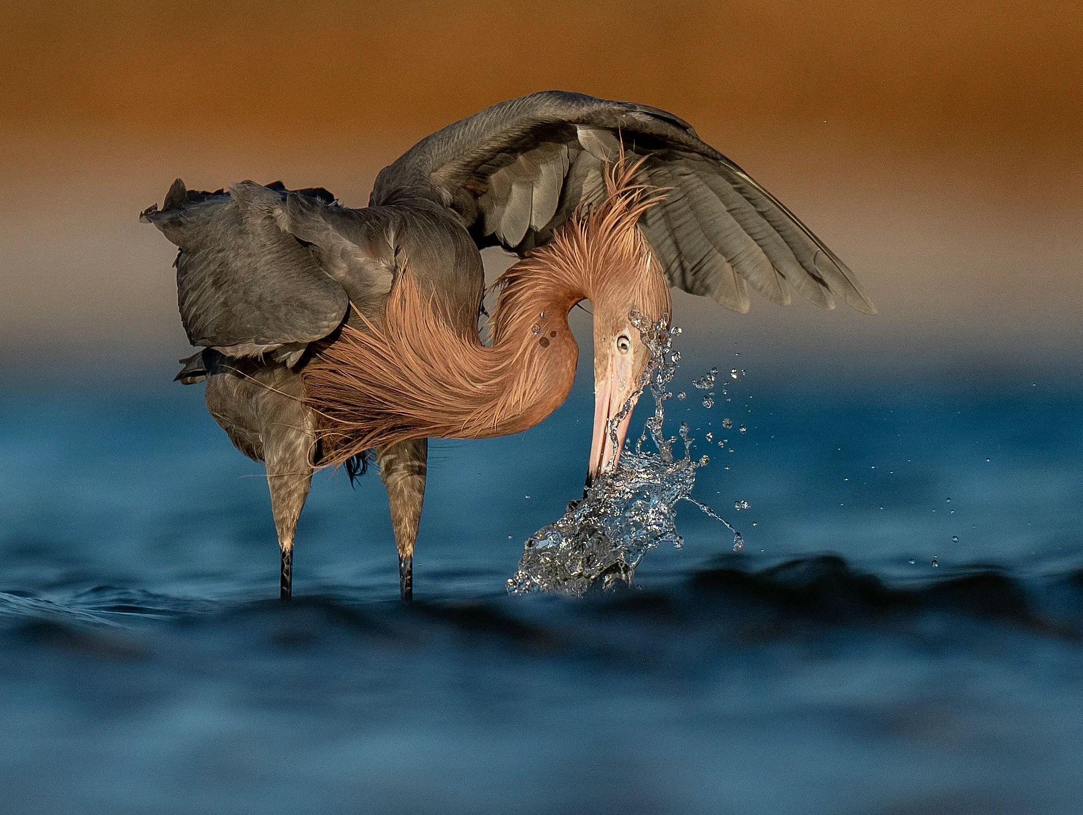 Tim Barker Photography